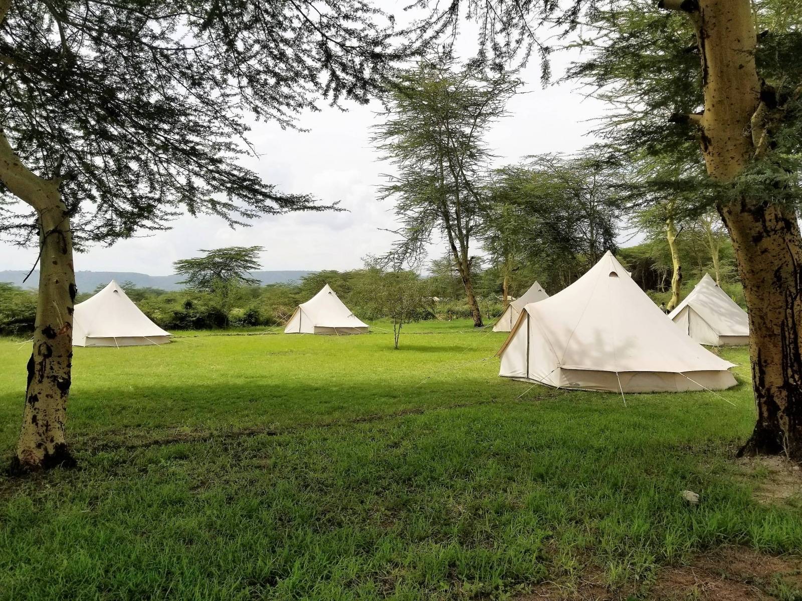 Africa Safari Glamping | Safari Afrique by World Explorateur