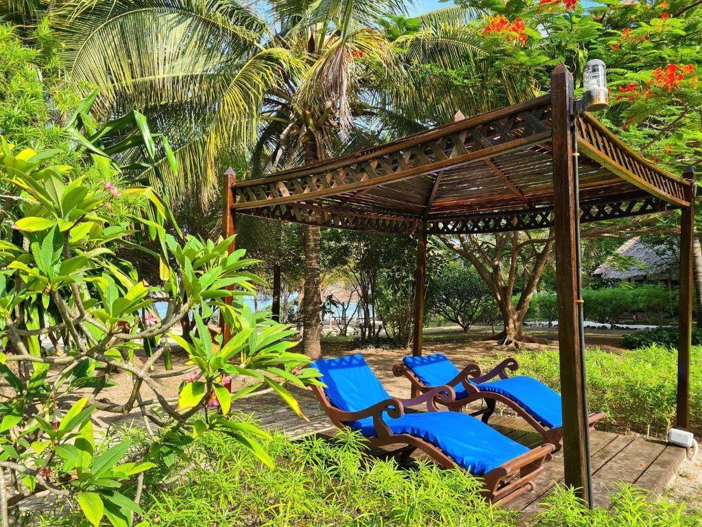 Anna Of Zanzibar ***** | Safari Afrique by World Explorateur