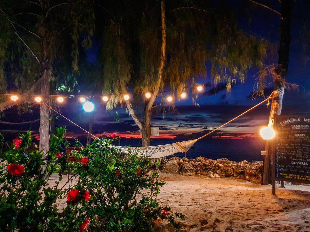 Flame Tree Cottages ** | Safari Afrique by World Explorateur
