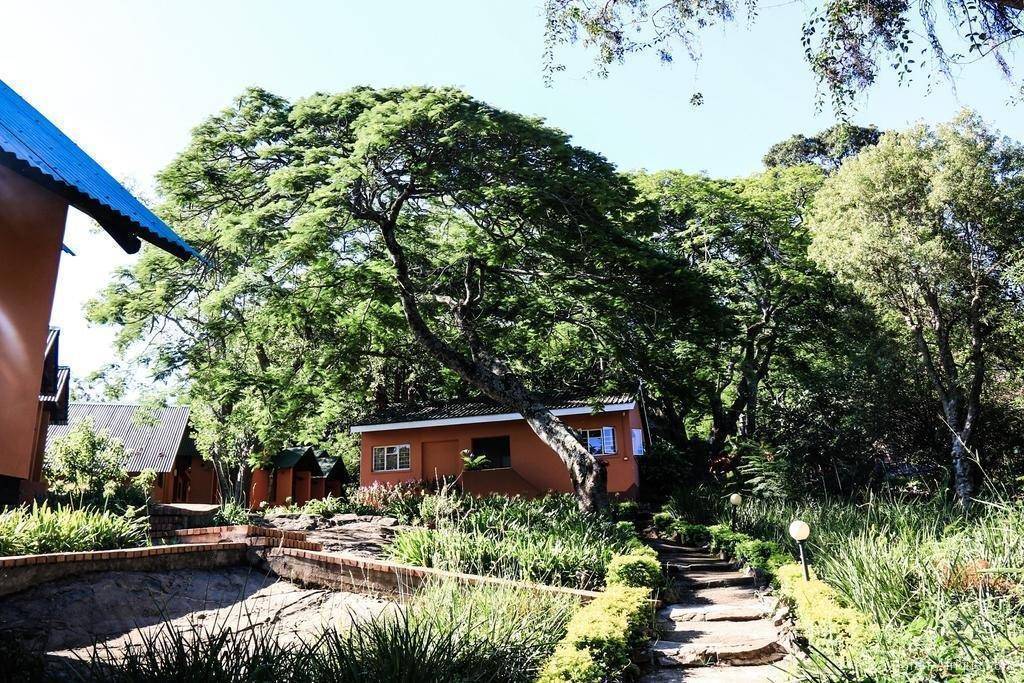 Mantenga Lodge *** | Safari Afrique by World Explorateur