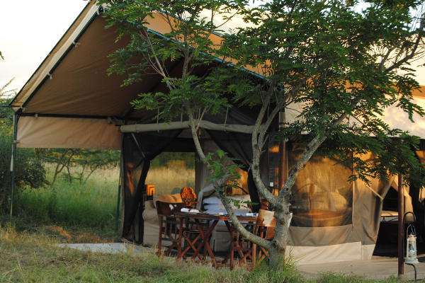 Simba Safari | Safari Afrique by World Explorateur
