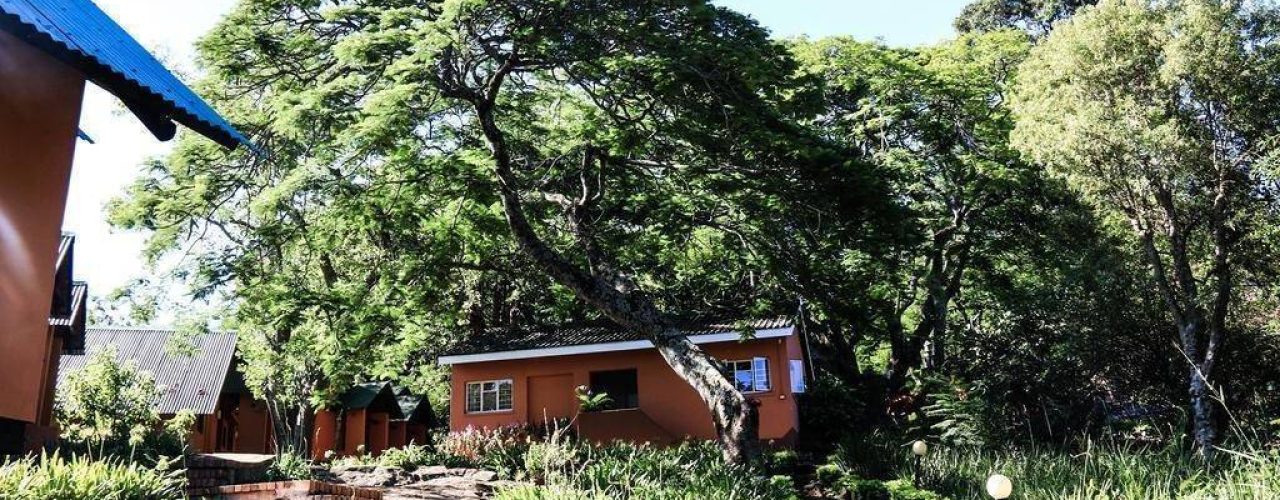 Mantenga Lodge *** | Safari Afrique by World Explorateur